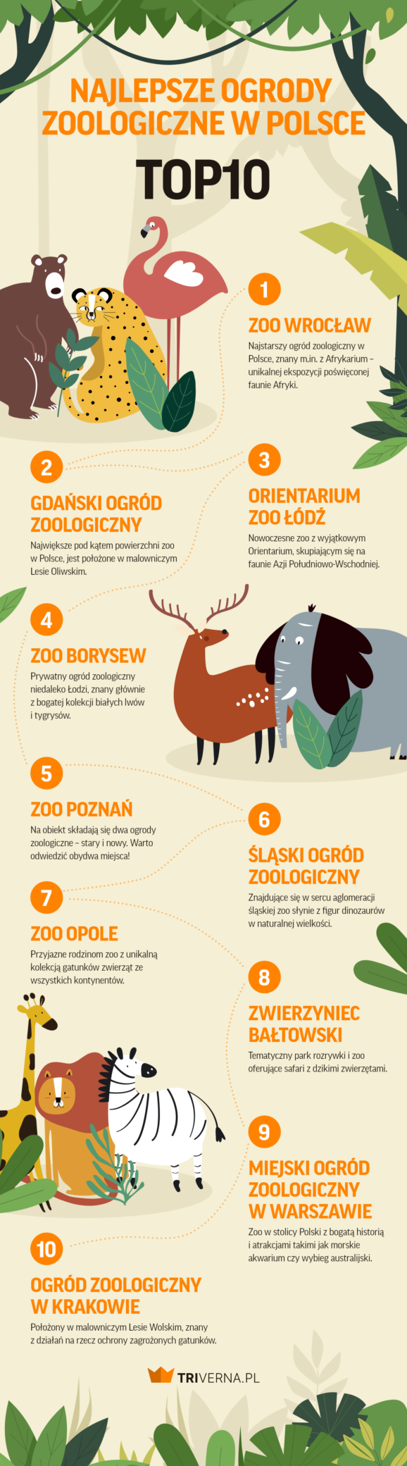 Jakie zoo w Polsce warto odwiedzić? Poznaj 10 obiektów! | Triverna