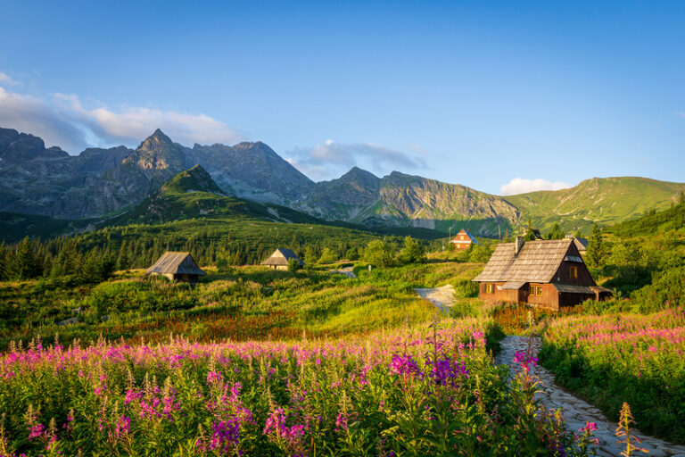 Top 9 miejsc w Polsce, które oferują piękne widoki górskie | Triverna