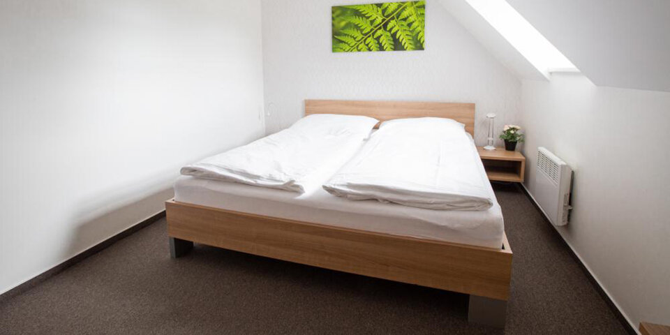 Wellness Hotel Ricky, Ricky v Orlickych horach | Triverna