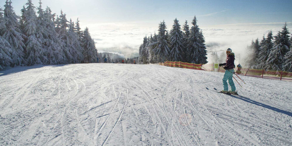 Wellness Hotel Ricky, Ricky v Orlickych horach | Triverna