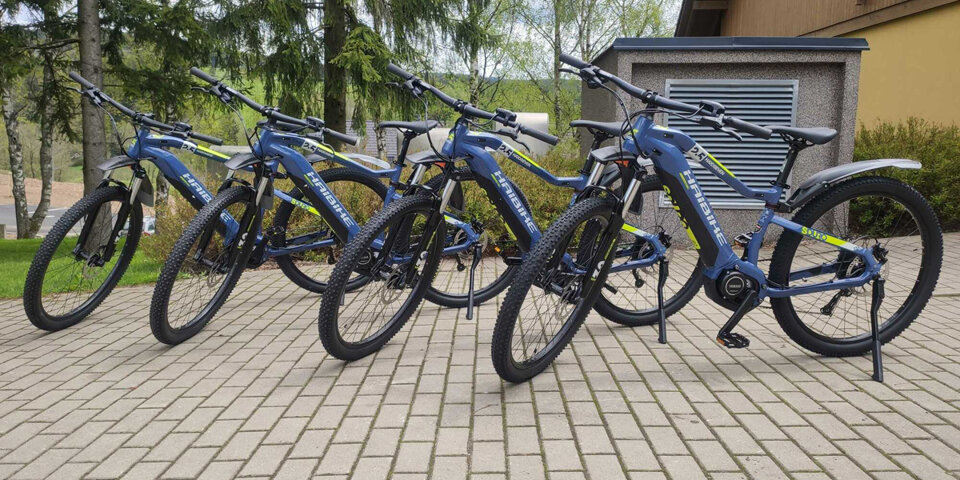 Wellness Hotel Ricky, Ricky v Orlickych horach | Triverna